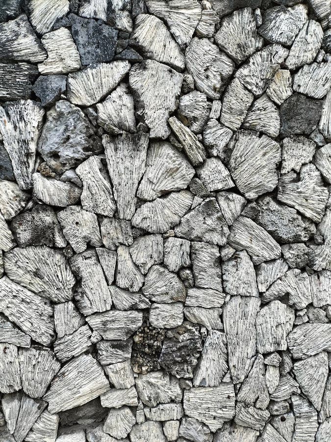 Unique ocean stone wall stock photo. Image of monochrome - 266364688