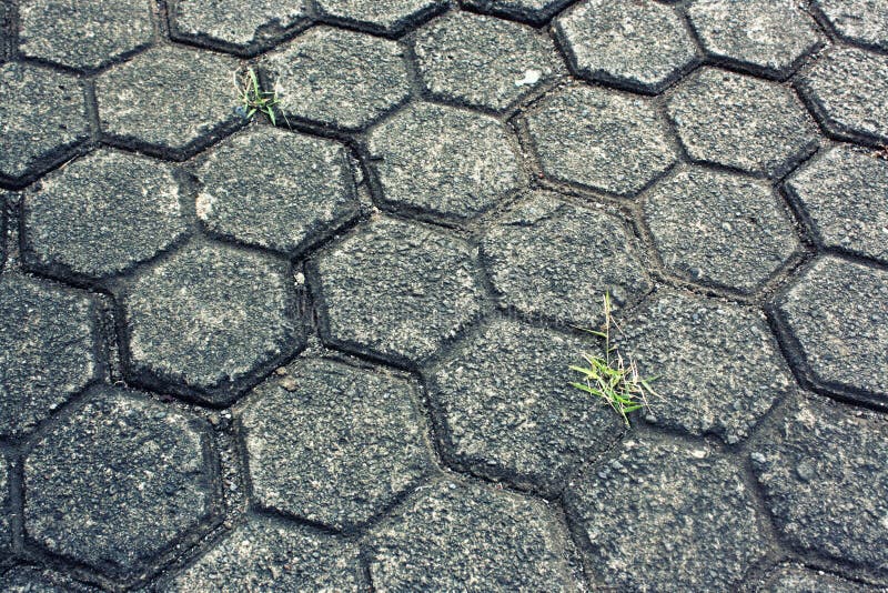Paving Conblock Stock Photos - Free & Royalty-Free Stock Photos from ...