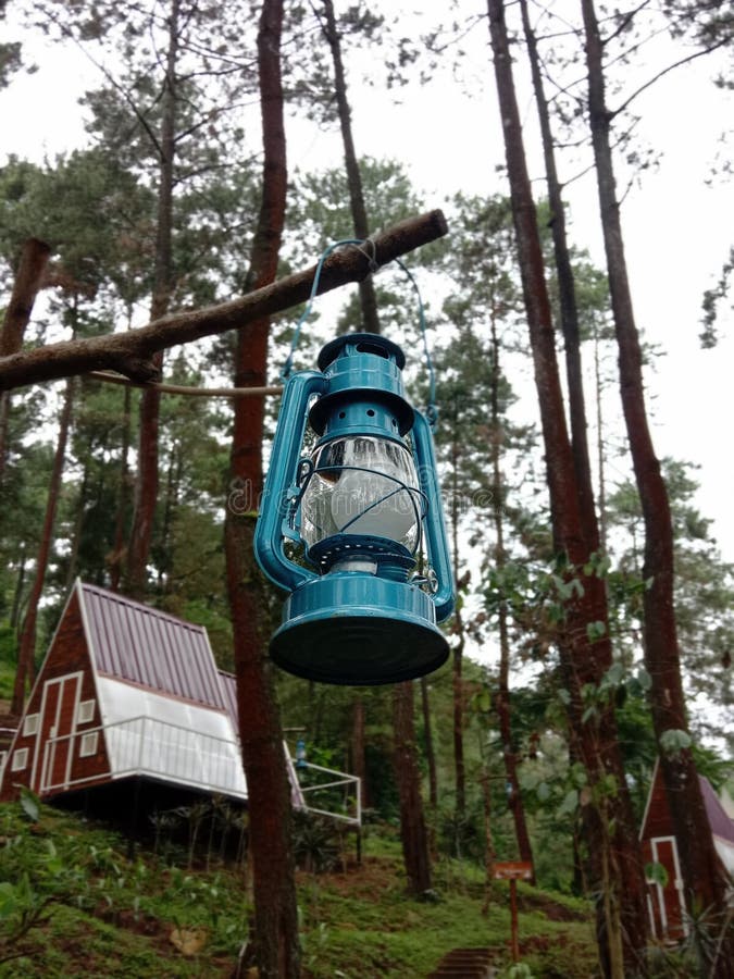 Unique Old Style Lamp with Fire Lighting in the Forest Stock Photo ...