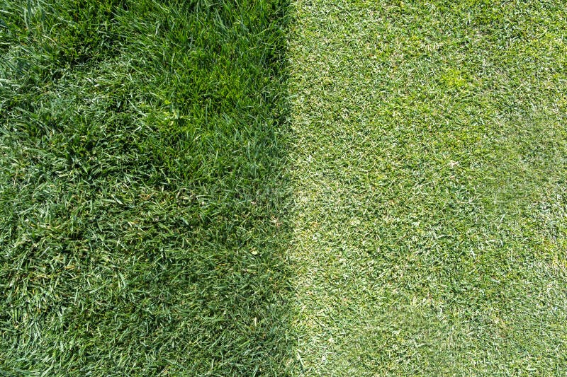 Compelling Photograph Stock Photos - Free & Royalty-Free Stock Photos ...