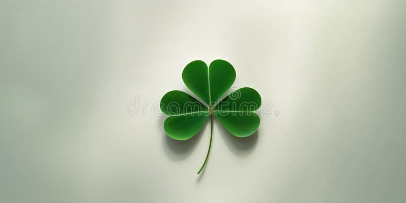 A Unique Overhead View of a Single Green Clover Leaf. Stock Photo ...