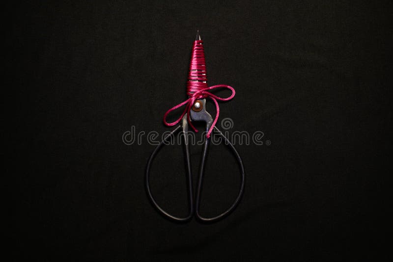 Ornate Scissors Wrapped with Bright Pink Thread on a Dark Background ...