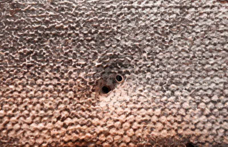 Operculated Handle Stock Photos - Free & Royalty-Free Stock Photos from ...