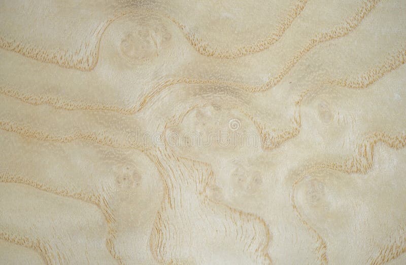 Unique Patterned Wood Texture Natural, Light Yellow Stock Photo - Image ...