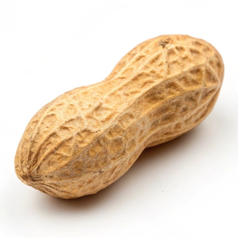 Unique peanut isolated stock illustration. Illustration of peanut ...
