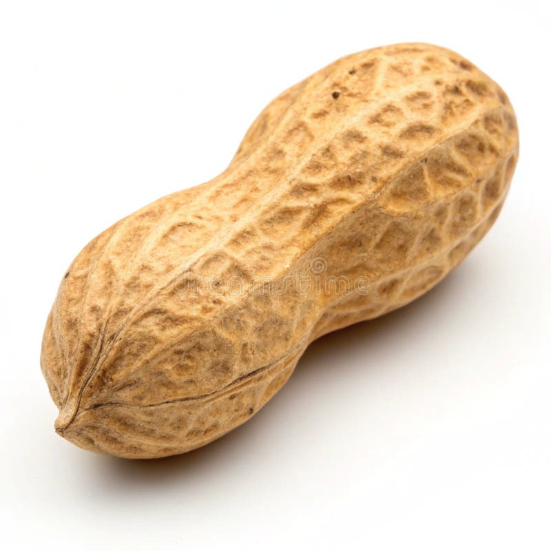 Unique peanut isolated stock illustration. Illustration of shape ...