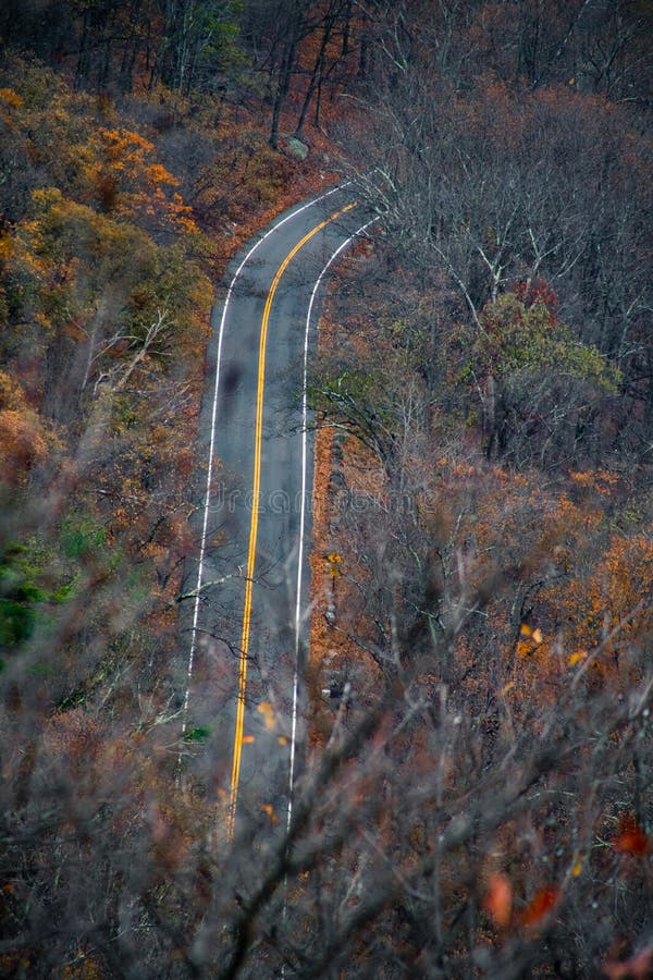 Unique Perspective of Mountain Road with Fall Covered Trees and Leaves ...