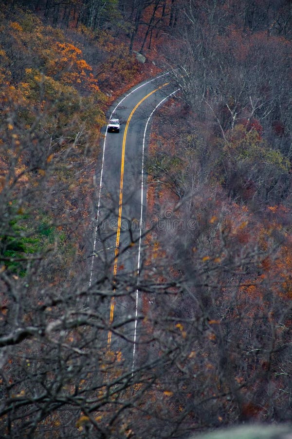 Unique Perspective of Mountain Road with Fall Covered Trees and Leaves ...