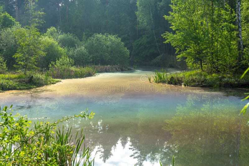 Lake form because of dam stock photo. Image of water - 255494794