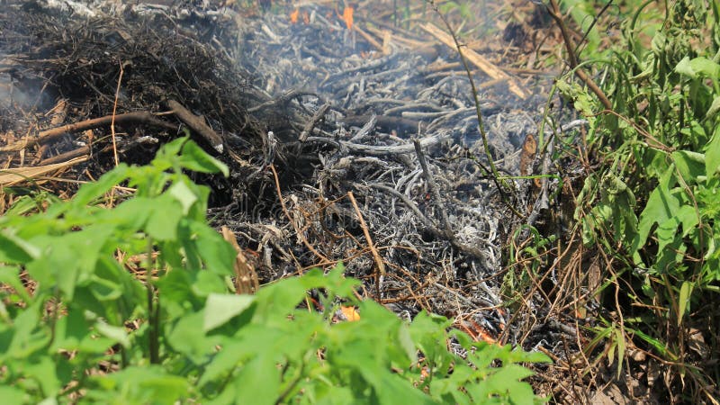 A Unique Photo. Fire and Burn Marks Stock Image - Image of burn, fire ...