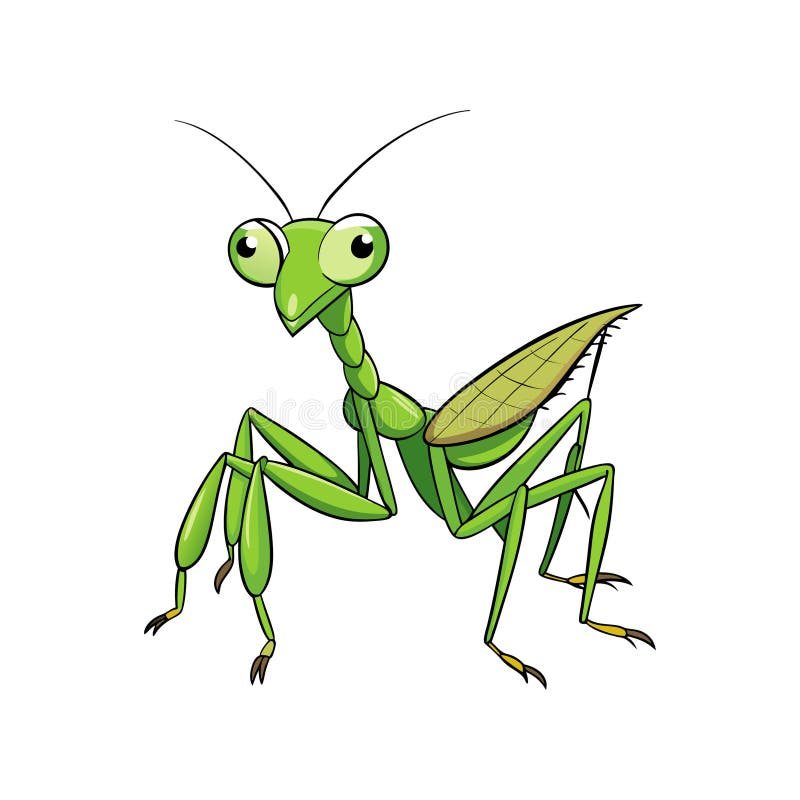 Unique Praying Mantis Realistic Illustration Stock Illustration ...