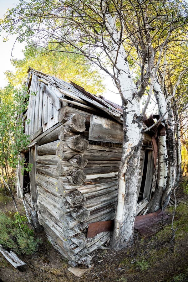 Unique Prespective on an Old Log Cabin Stock Image - Image of sunrise ...
