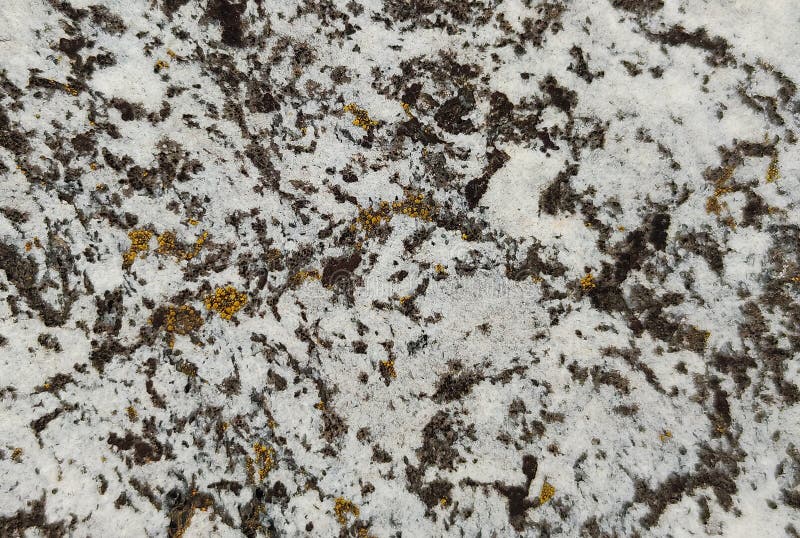 Unique Real Marble Texture Rough Pattern Image Abstract Background Art ...