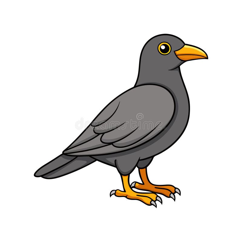 Unique Alpine Chough Bird Representation Stock Image - Illustration of ...