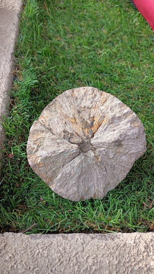 This Unique Rock Formation Displays Beautiful Natural Patterns and ...