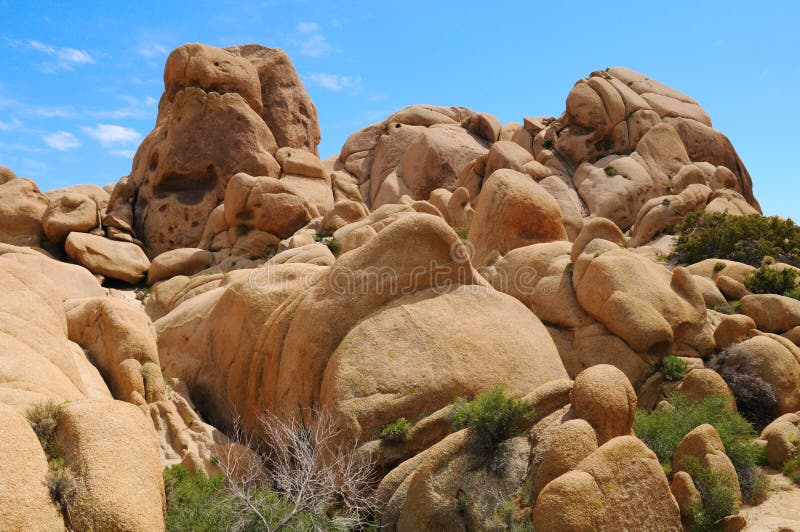Unique Rocks Formations stock image. Image of park, cactus - 25772709