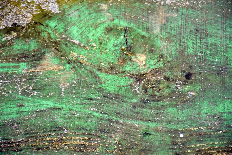 Unique Rough Wooden Green Texture Stock Photo - Image of brown, nature ...