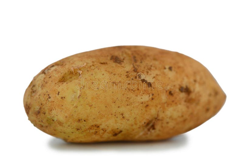 Unique and Rustic Potato Showcasing Earthy Texture and Natural Tones in ...