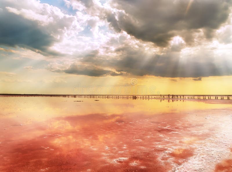 Unique Salt Lake with Pink Water and Salt at Sunset. Magnificent ...