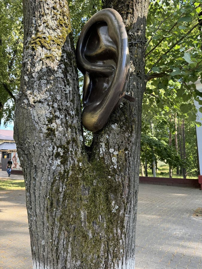Unique Sculpture of Ear Embedded in a Tree Editorial Photo - Image of ...