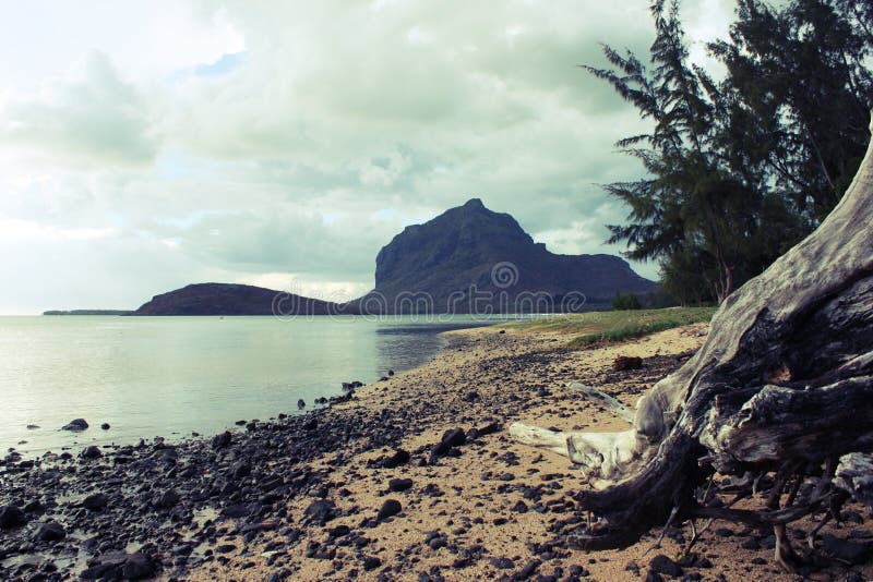 Unique Sea stock photo. Image of weird, look, making - 17962472