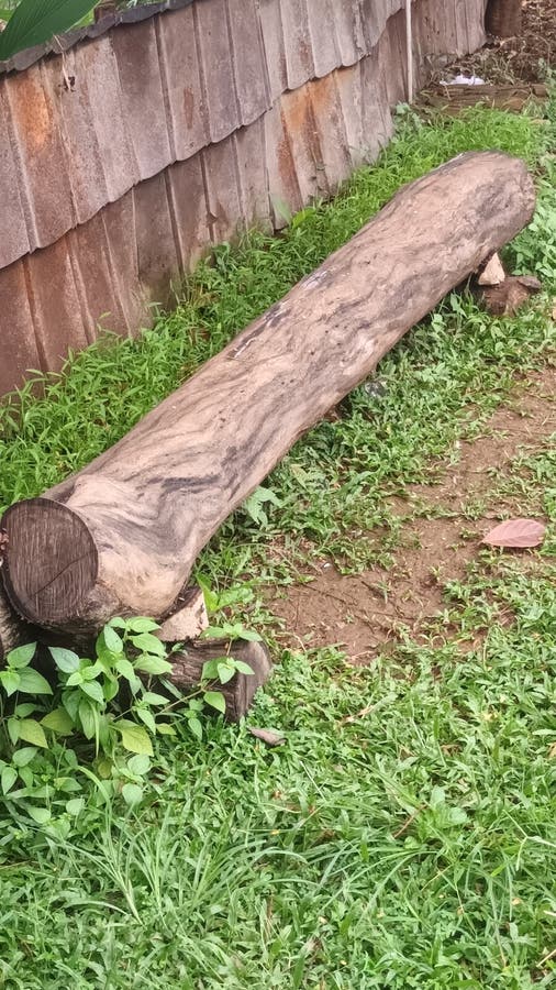 Unique Seating Made from Tree Trunks in the Social Land Area Stock ...
