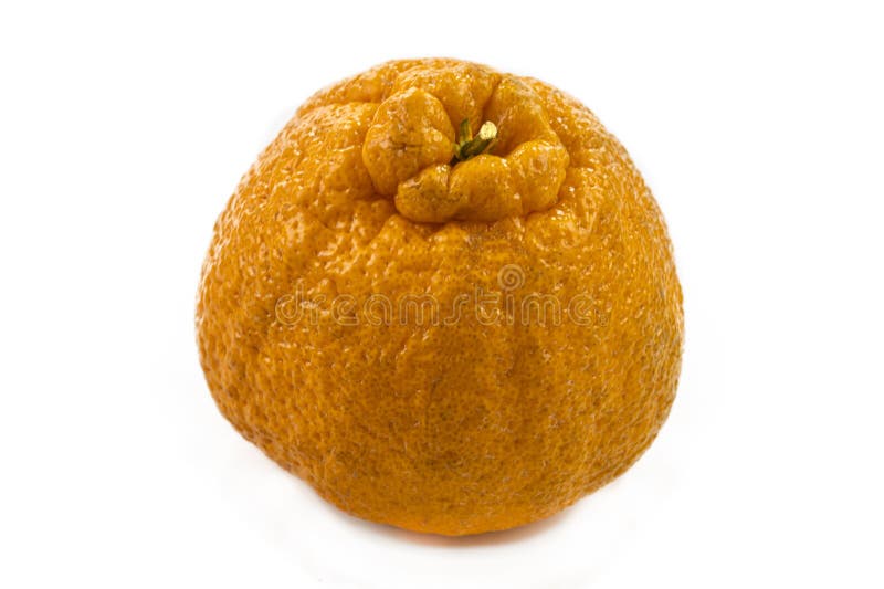 Unique Shaped Orange Resting on a Plain Surface Stock Photo - Image of ...