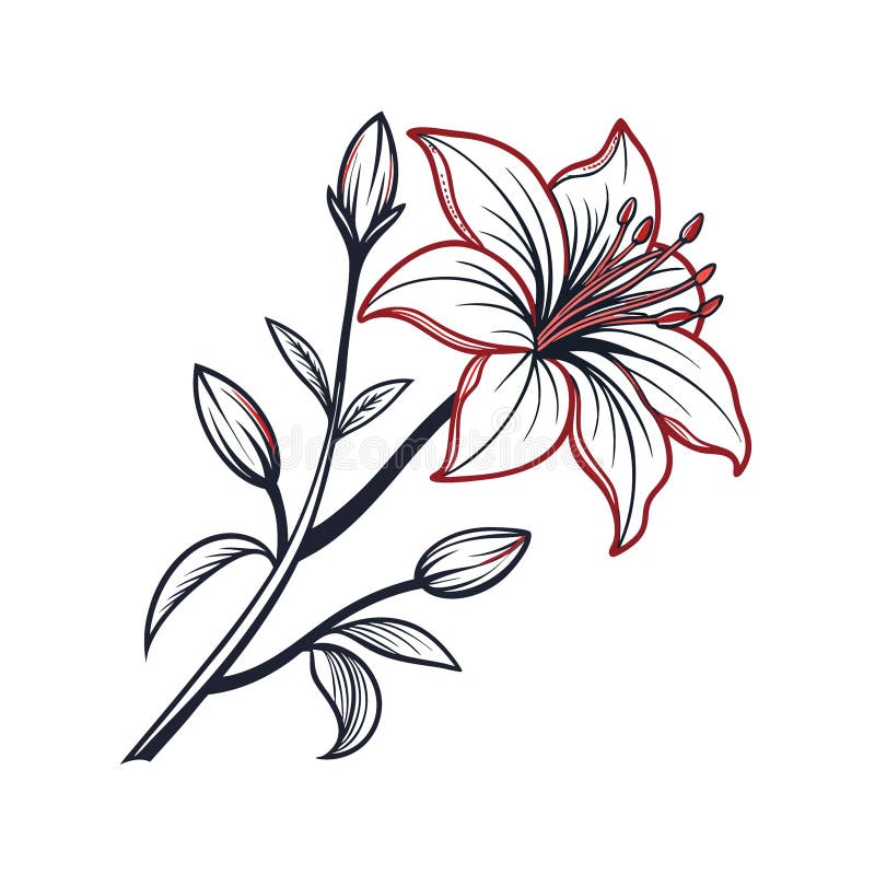 Unique Shining Star Flower Illustration in Bold Style Stock ...