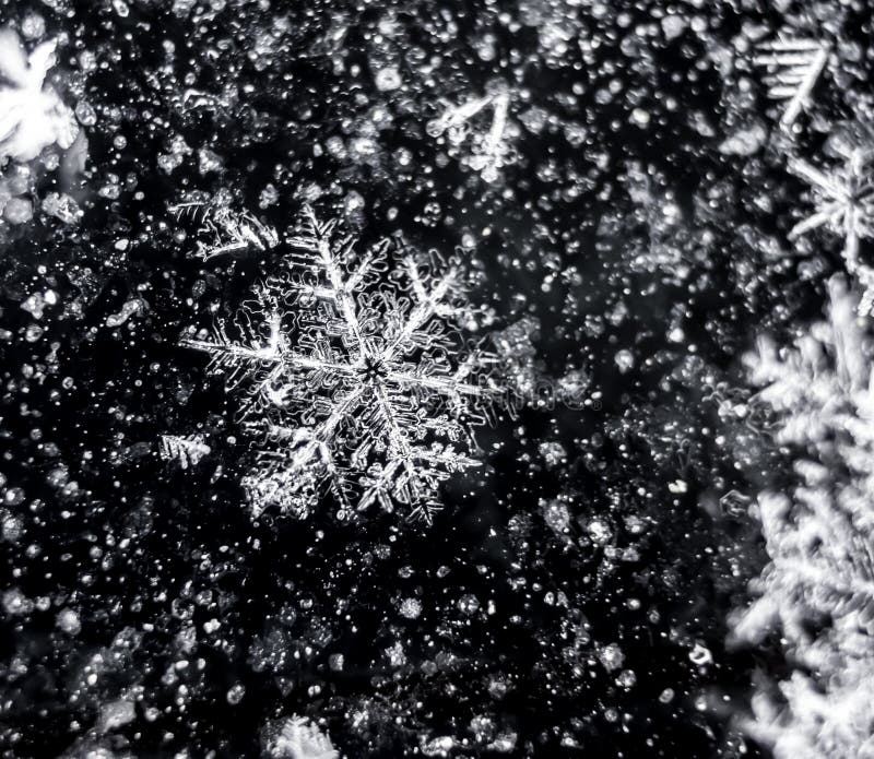 Unique snowflake stock photo. Image of pattern, seasons - 28614598