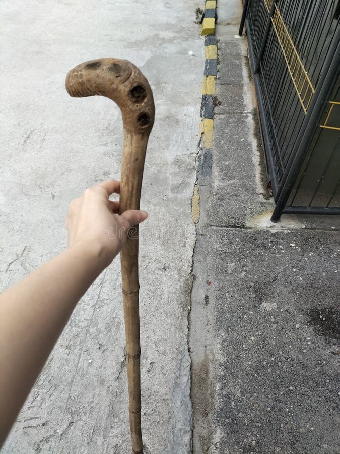 Unique Stick and Rare Very Cutepike Snake Head Stock Image - Image of ...