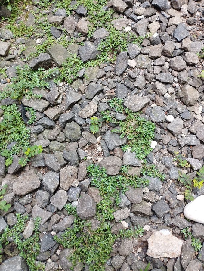 Unique Stone Pattern in the Park Stock Photo - Image of soil, rock ...