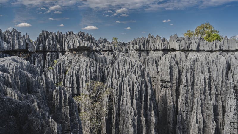 Unique Stunning Tsingy De Bemaraha. Grey Karst Limestone Cliffs Stock ...