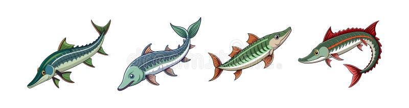 Unique Sturgeon Fish Illustration with Aquatic Features Stock Vector ...