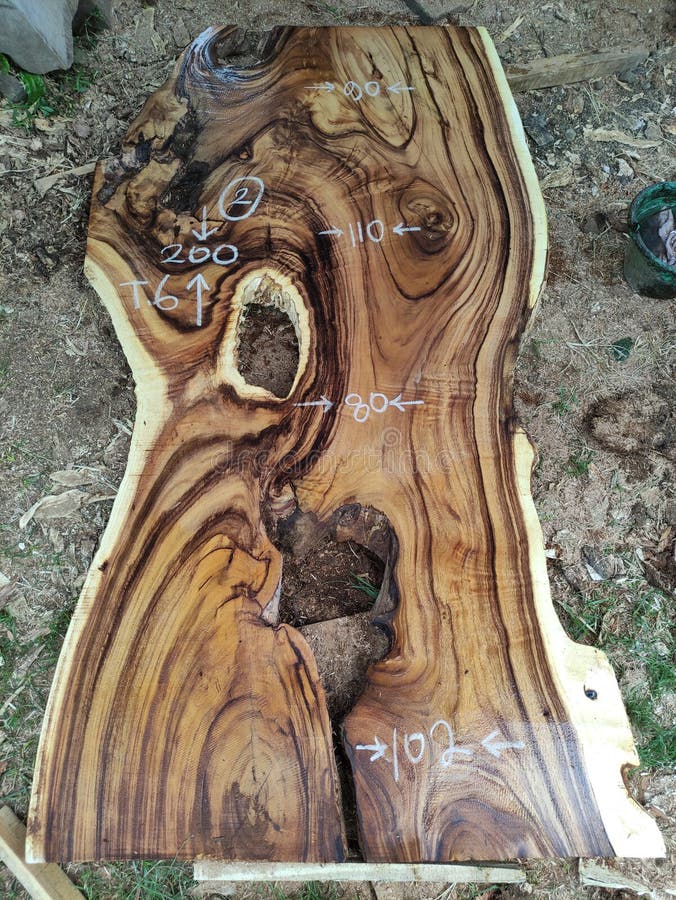 Unique Suar Wood Slab stock image. Image of epoxy, furniture - 261744161