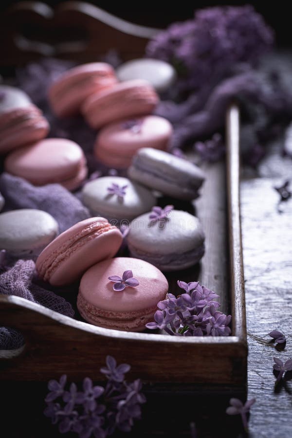 Unique Macaroons of Flower Flavour. Creative Dessert Compositions Stock ...