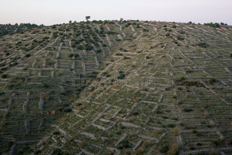 Unique Terraced Hillside Patterns in Nature Stock Image - Image of ...