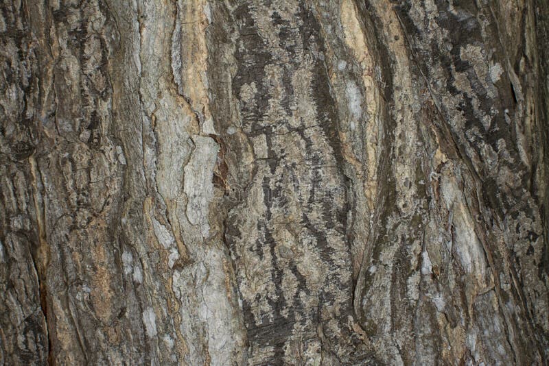 Unique Textures and Backgrounds for Decorative Wallpaper Stock Photo ...