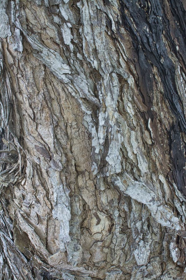 Unique Textures and Backgrounds for Decorative Wallpaper Stock ...