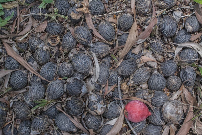 Unique Textures and Backgrounds for Decorative Wallpaper Stock ...