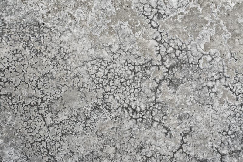 Unique Textures and Backgrounds for Decorative Wallpaper Stock Image ...