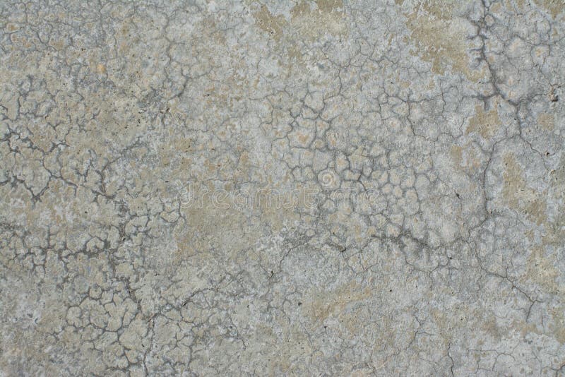 Unique Textures and Backgrounds for Decorative Wallpaper Stock Image ...