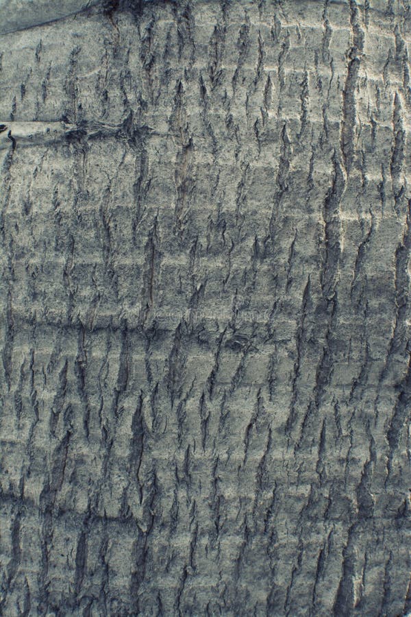 Unique Textures and Backgrounds for Decorative Wallpaper Stock Image ...