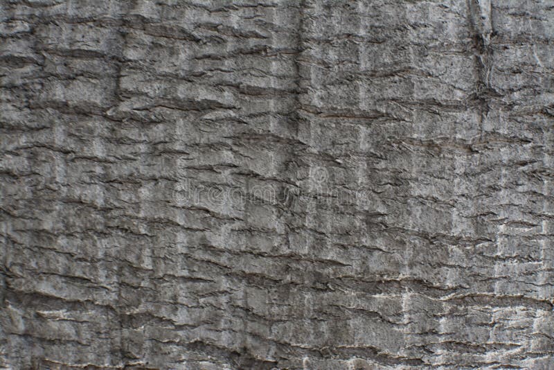 Unique Textures and Backgrounds for Decorative Wallpaper Stock Photo ...