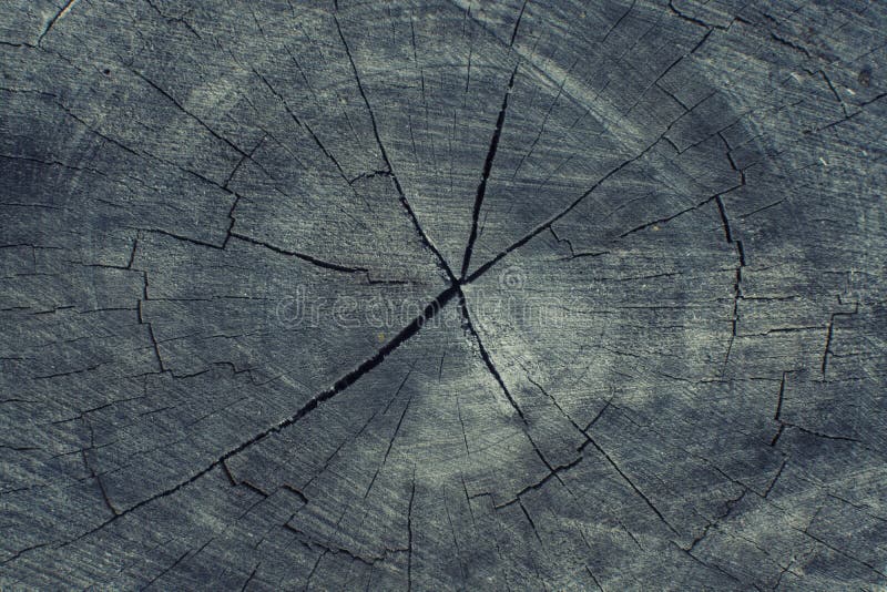 Unique Textures and Backgrounds for Decorative Wallpaper Stock Image ...