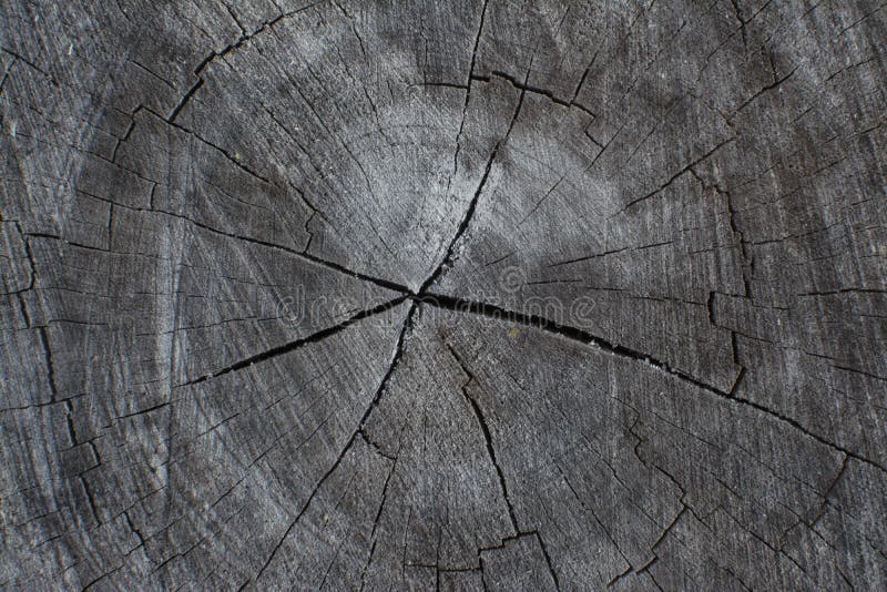 Unique Textures and Backgrounds for Decorative Wallpaper Stock Image ...