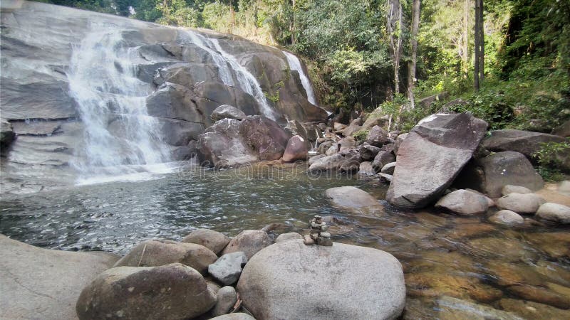 Unique Bridge stock photo. Image of vehicle, plant, yard - 379499448