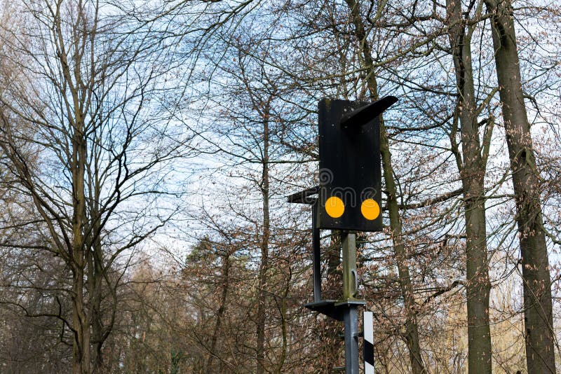 Unique Traffic Signal Design Amidst Bare Trees in a Park Setting Stock ...