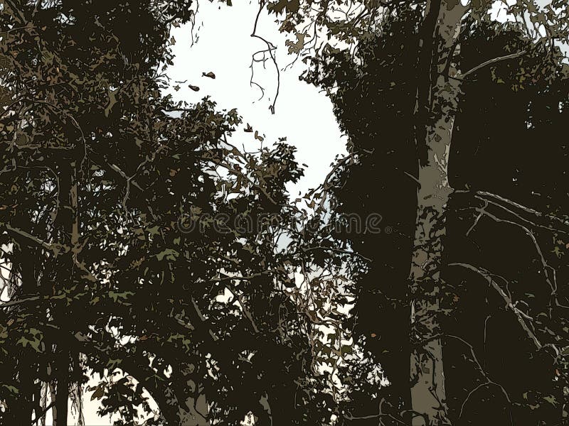 Unique Tree Scape stock photo. Image of black, grey - 100078244