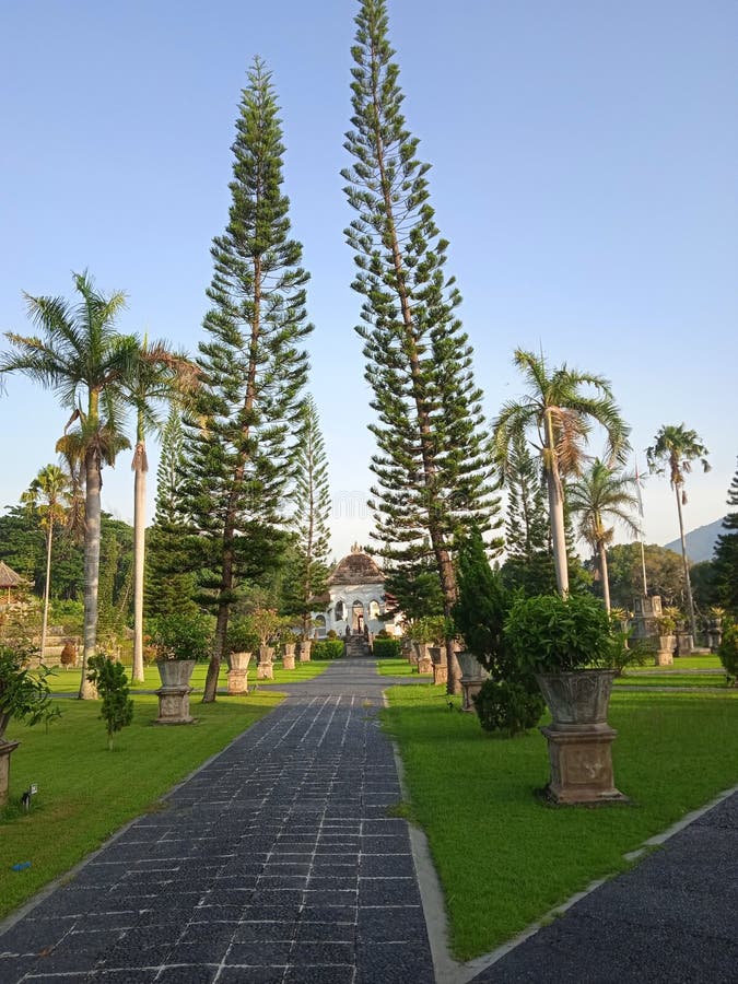 Unique Trees at Taman Ujung Park, Bali Stock Image - Image of park ...