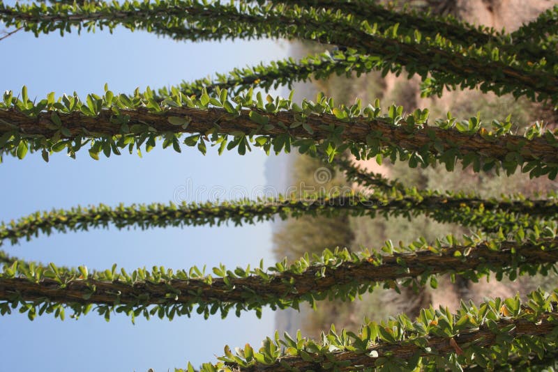 Unique view stock image. Image of landscape, phoenix, midwest - 1078569